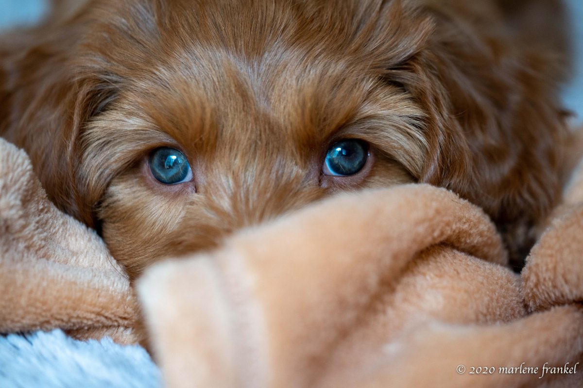 Introducing Charlie – It’s a boy! – A Photo's Worth