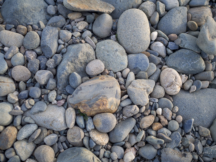 Lens-Artists Photo Challenge #226 Textures – A Photo's Worth