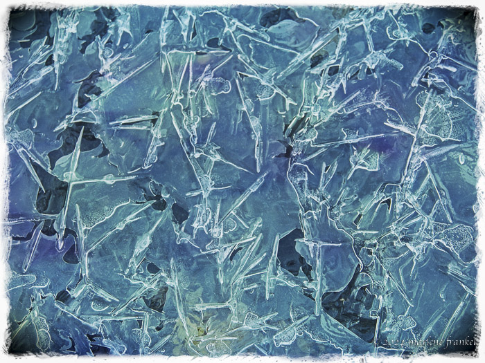 Lens-Artists Photo Challenge #229 Perfect Patterns – A Photo's Worth