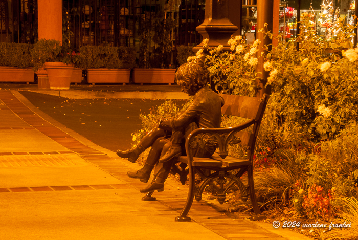Lens-Artist Challenge #285 Warm Colors – A Photo's Worth